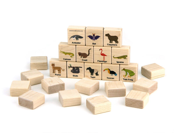 Rainforest Animals Wooden Matching Game - Everwood Friends